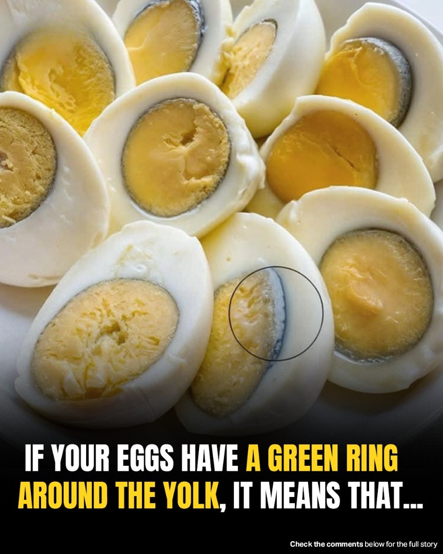 The Perfect Hard-Boiled Egg & Why It Turns Green – Best Recipes