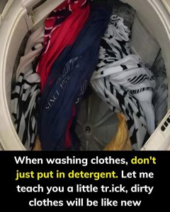 When Washing Clothes, Don’t Just Put in Detergent — Try These 5 Smart ...