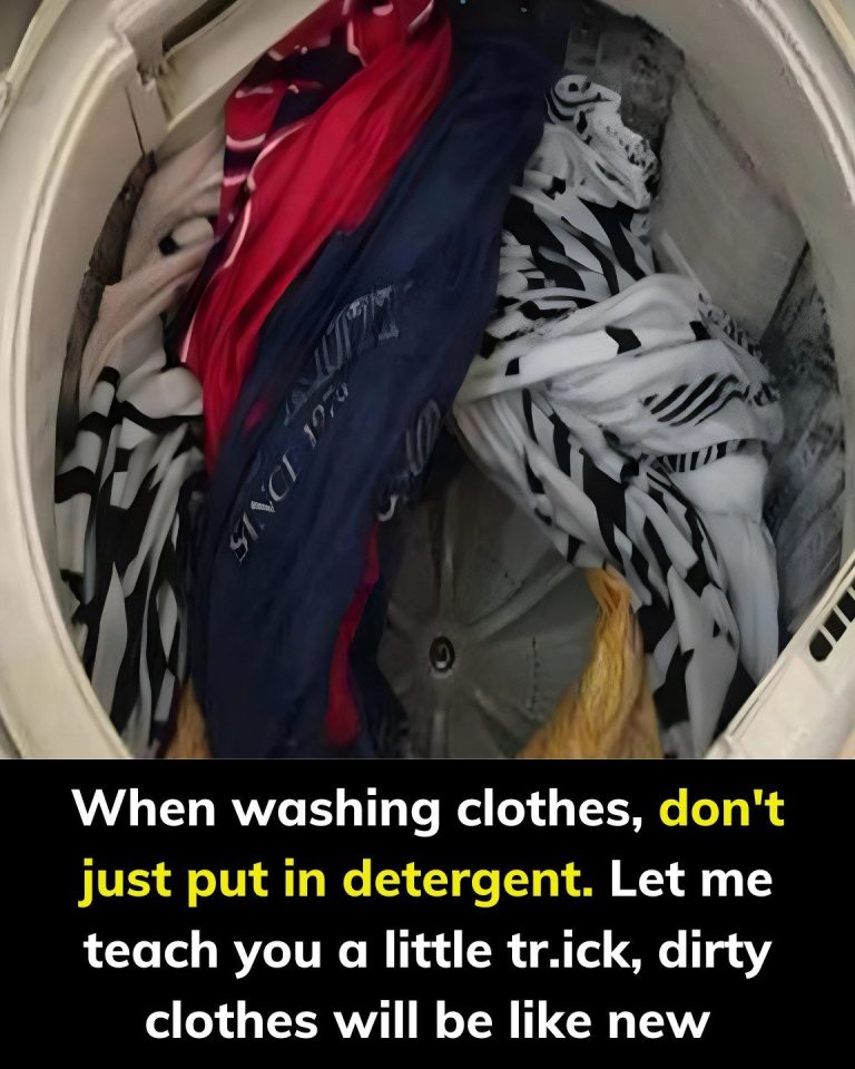 When Washing Clothes, Don’t Just Put in Detergent — Try These 5 Smart ...