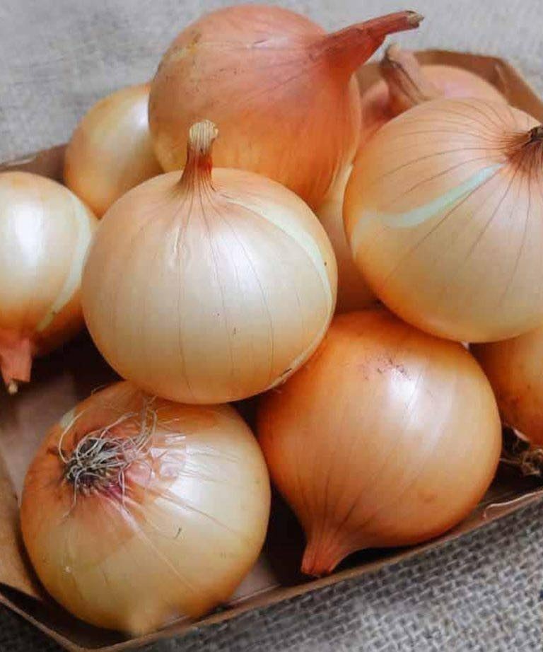 Doctors Reveal That Eating Onions Causes… Good Things! – Best Recipes