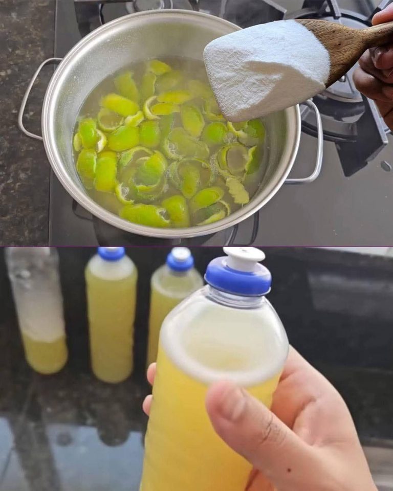 Powerful Homemade Multi-Purpose Cleaner Using Lemon Peels: Save Money ...