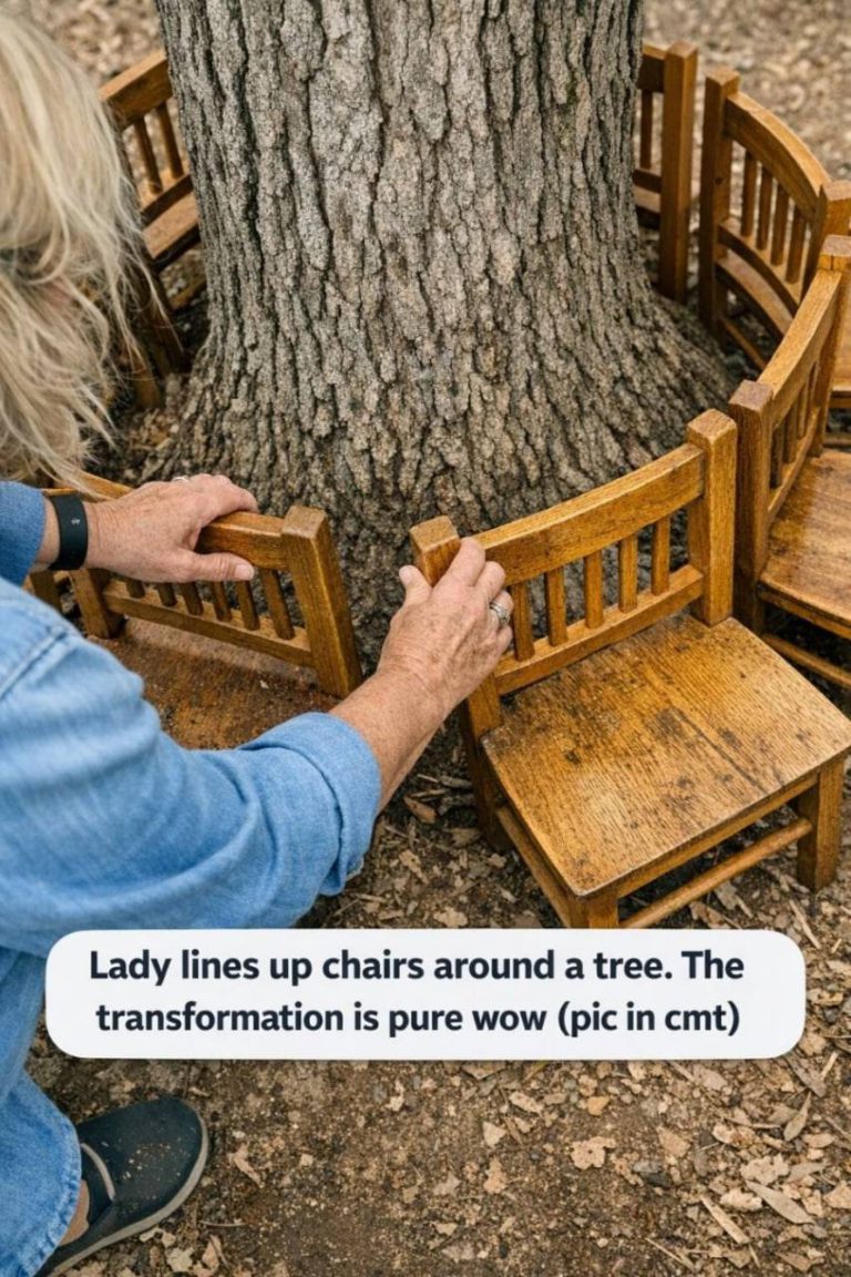 Lady Lines Up Chairs Around a Tree The Transformation Is Pure Wow ...